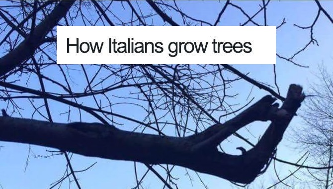 The Most Hilarious Jokes about Italians That Will Make You Laugh