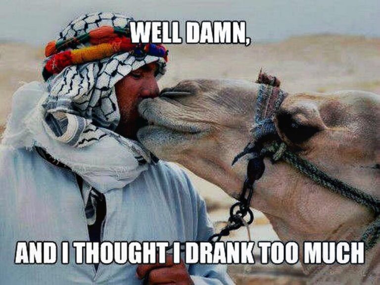 Hump Day Humor: The Best Camel Memes You Need to See