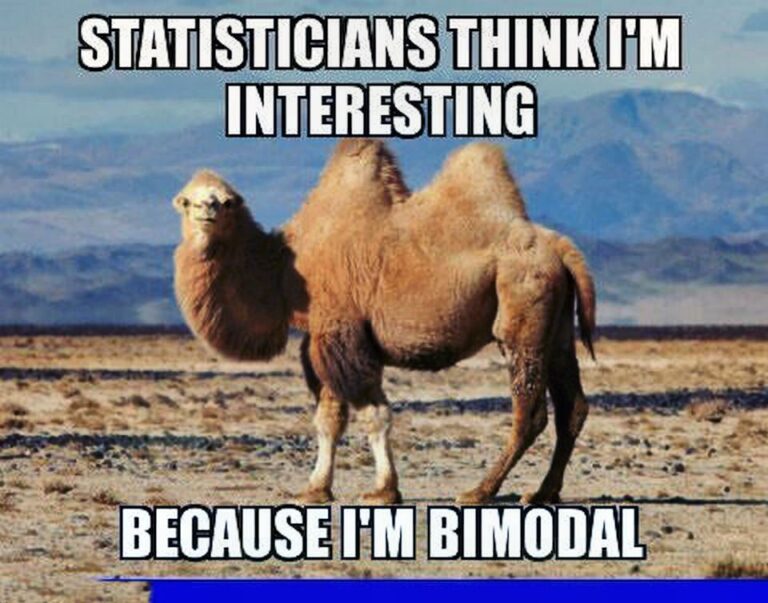 Hump Day Humor: The Best Camel Memes You Need to See