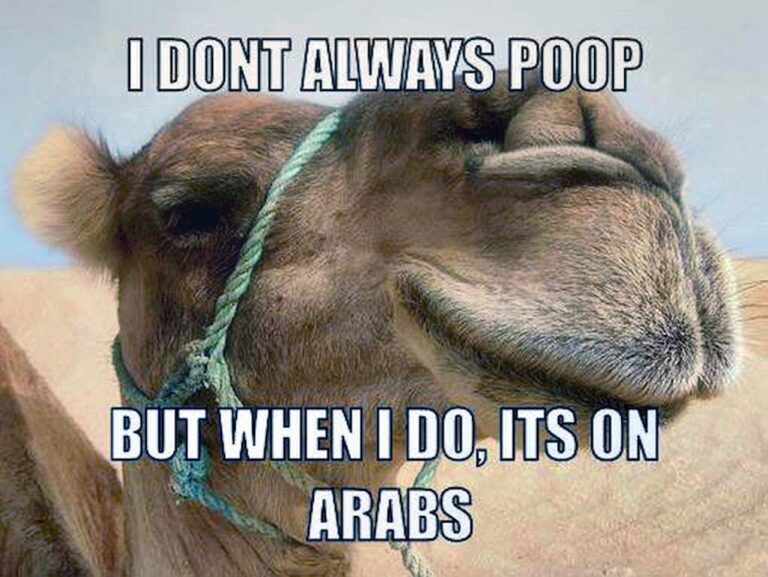 Hump Day Humor: The Best Camel Memes You Need to See