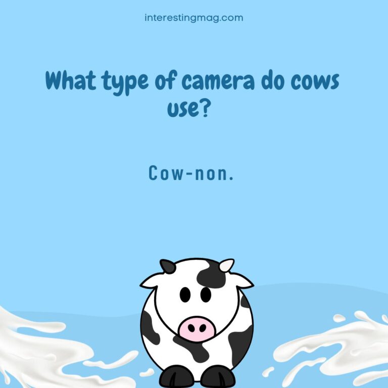 Udderly Moo-ving Hilarity: Funniest Cow Jokes That Will Milk Your Funny ...