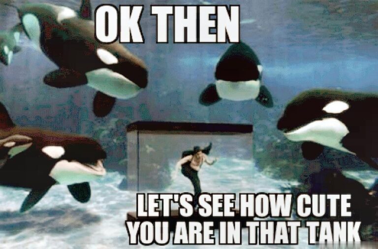 Whale, Hello There: The Top Whale Memes that will make you Laugh