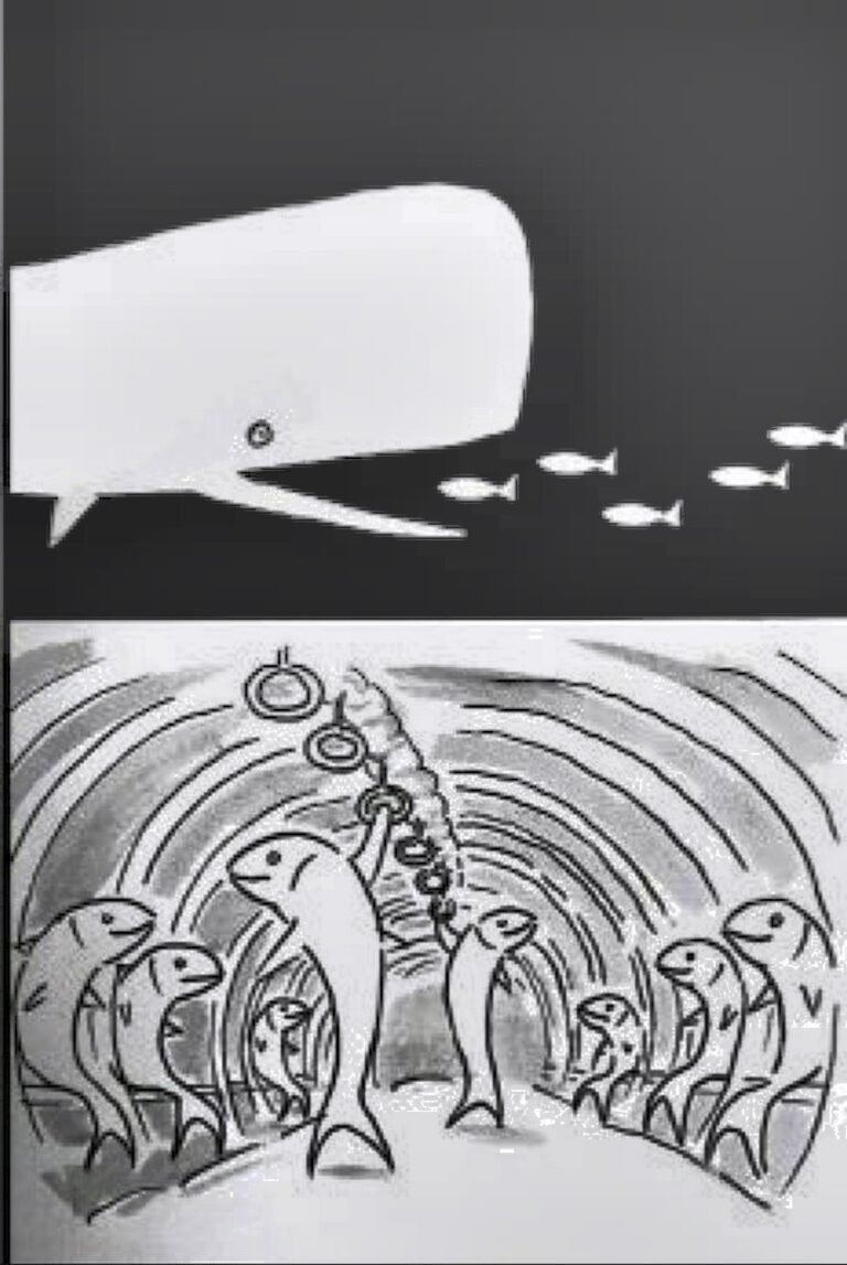 Whale, Hello There: The Top Whale Memes that will make you Laugh