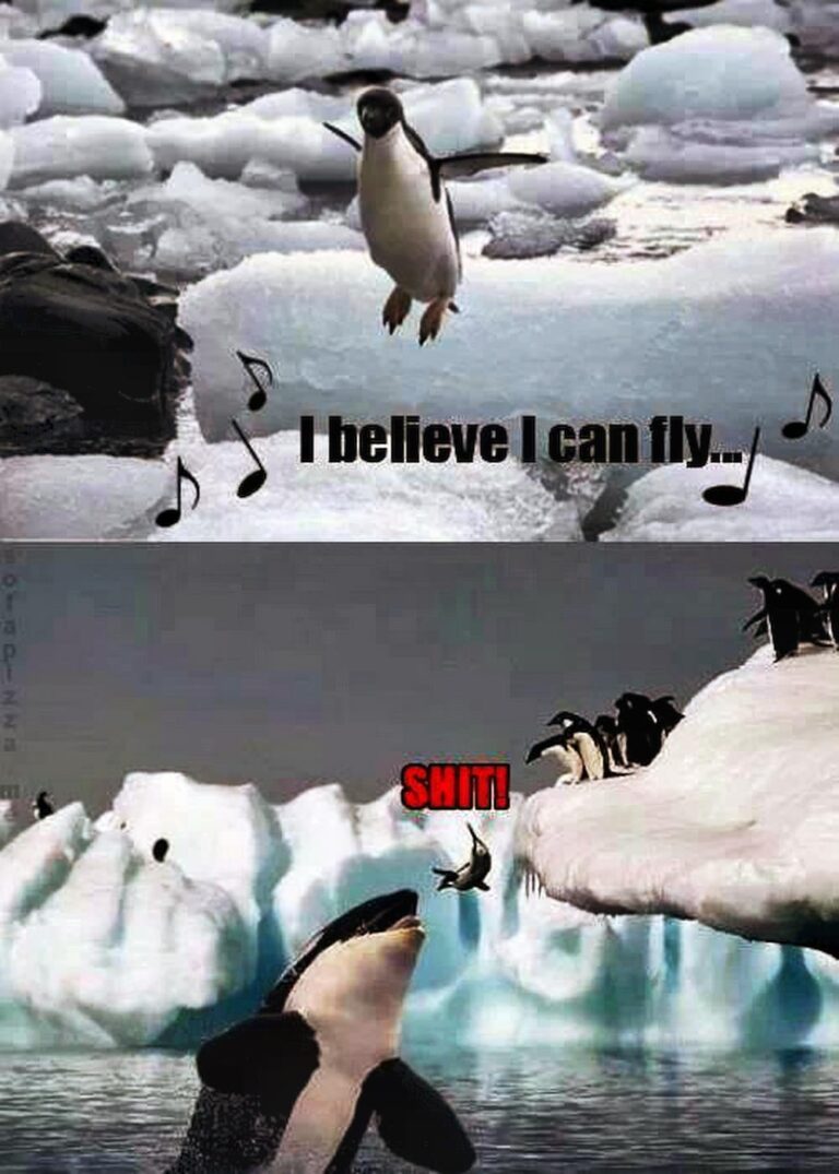 Whale, Hello There: The Top Whale Memes that will make you Laugh