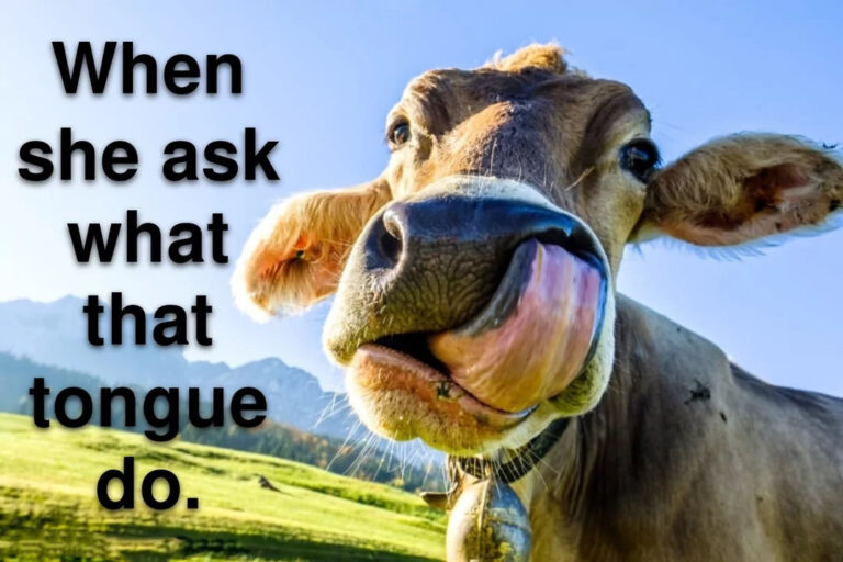 The Ultimate Collection of Savage Memes That Will Have You ROFL!