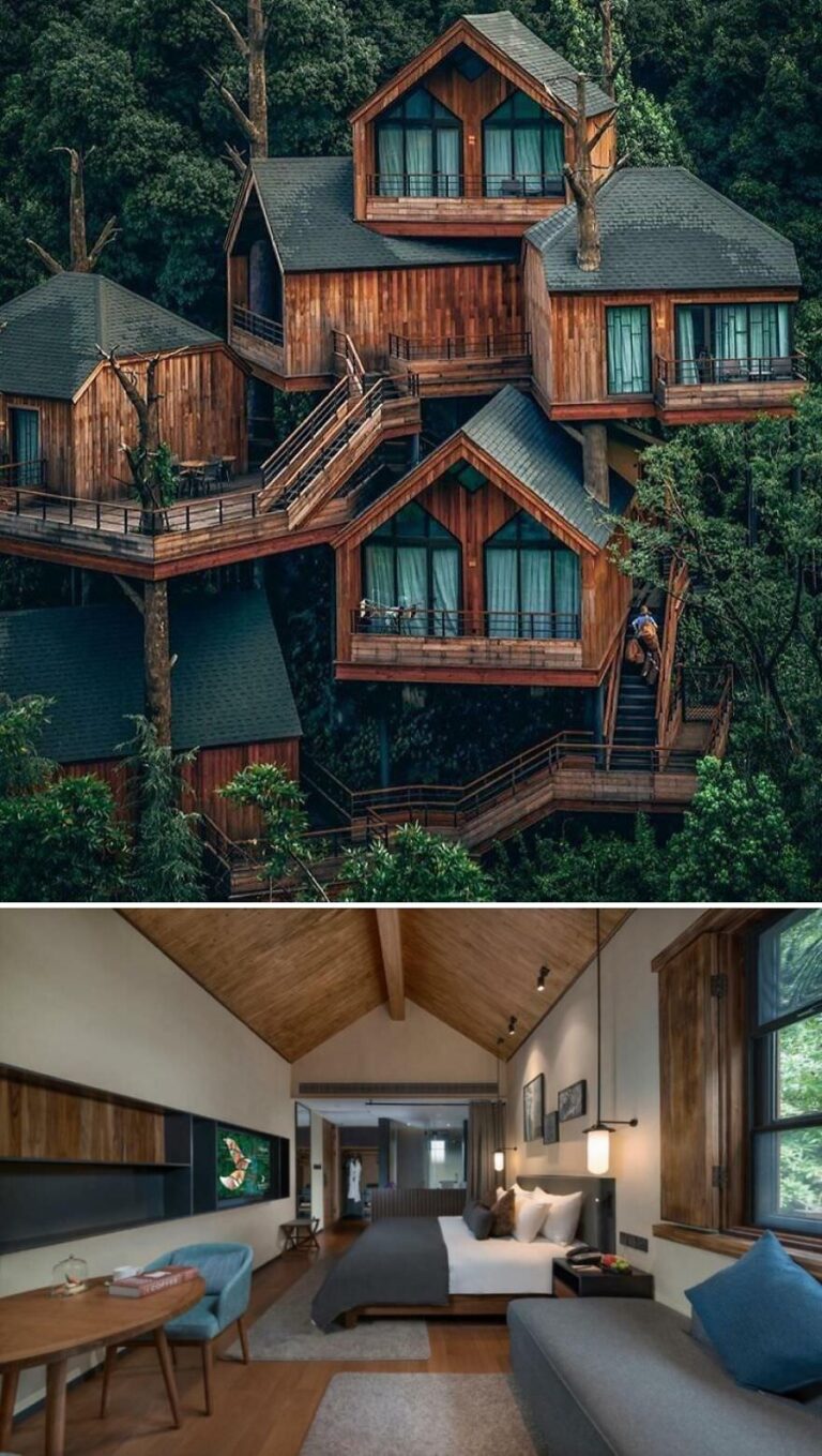 Unbelievable Homes: A Journey Through the Most Interesting and ...