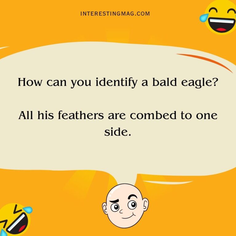 Bald and Bold: A Compilation of Hilarious Bald Jokes to Brighten Your Day