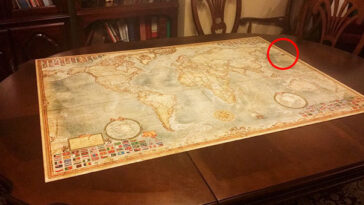 100 of the Most Uncomfortable Photos that Will Make You Squirm and Laugh