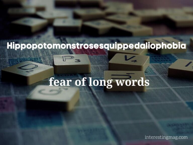 Weirdest Phobias People Have that you May Not Have Heard of